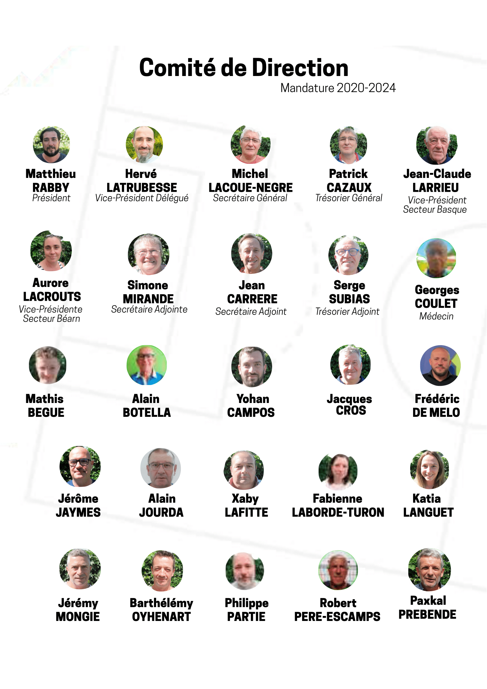 Bureau et Comité de Direction – DIstrict de Football des Pyrénées ...